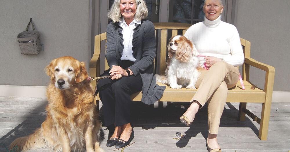 A brief history of Cause for Paws