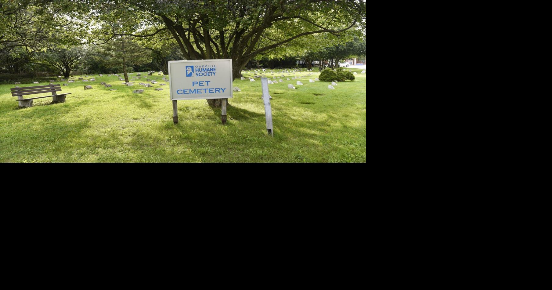 Oakville and Milton Humane Society excavating pet cemetery