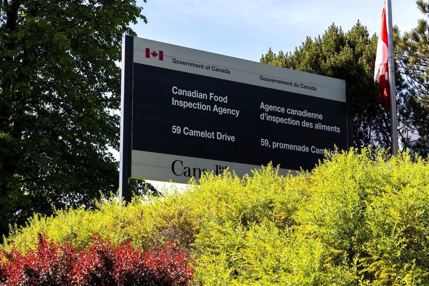 Food recall warning for salami sold in Canada