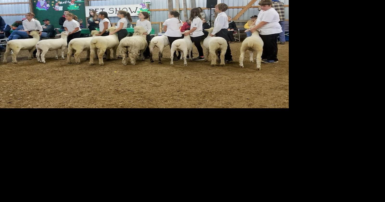Your guide to Ontario fall fairs near you