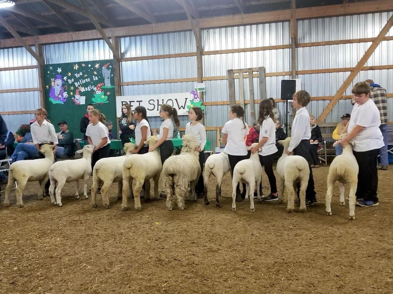 Your guide to Ontario fall fairs near you