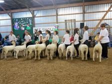 Your guide to Ontario fall fairs near you