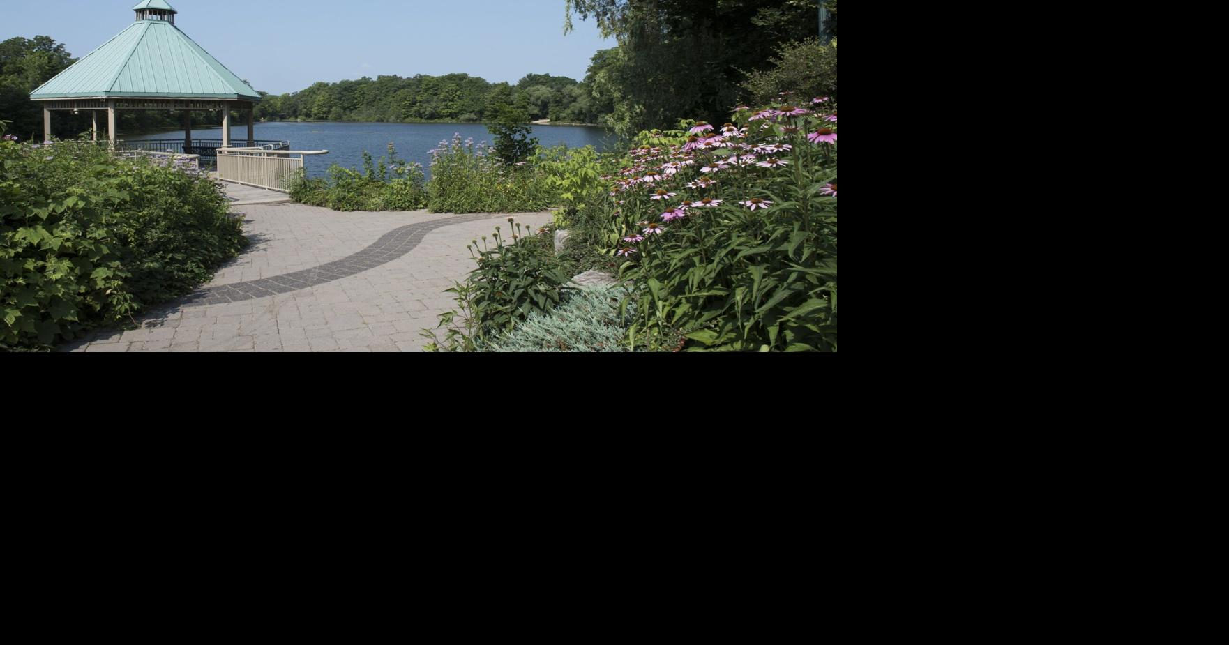 Mill pond in Milton set for temporary closure this summer