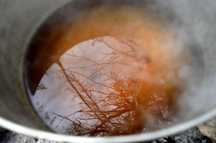 I make my own maple syrup at home. Here’s how you can, too