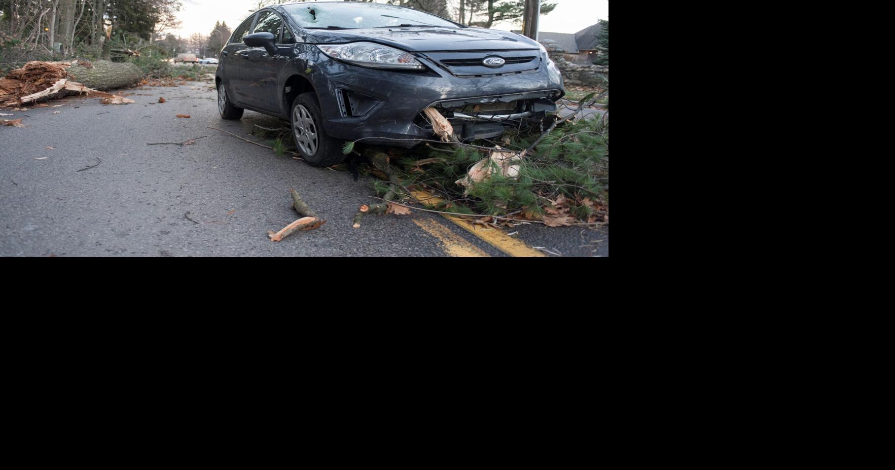 Car hit by tree, power out in part of southeast Burlington due to high ...