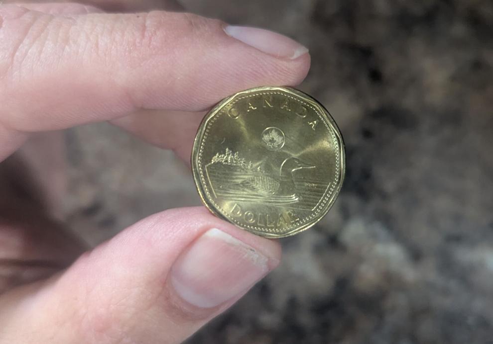 Canada’s dollar coin turns 38. How it became a national icon