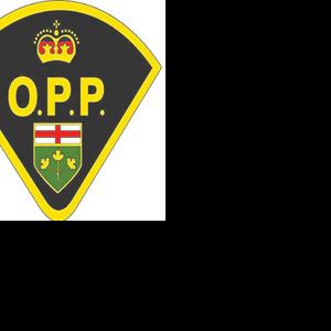 Vehicle flees OPP, Burlington youth facing multiple charges