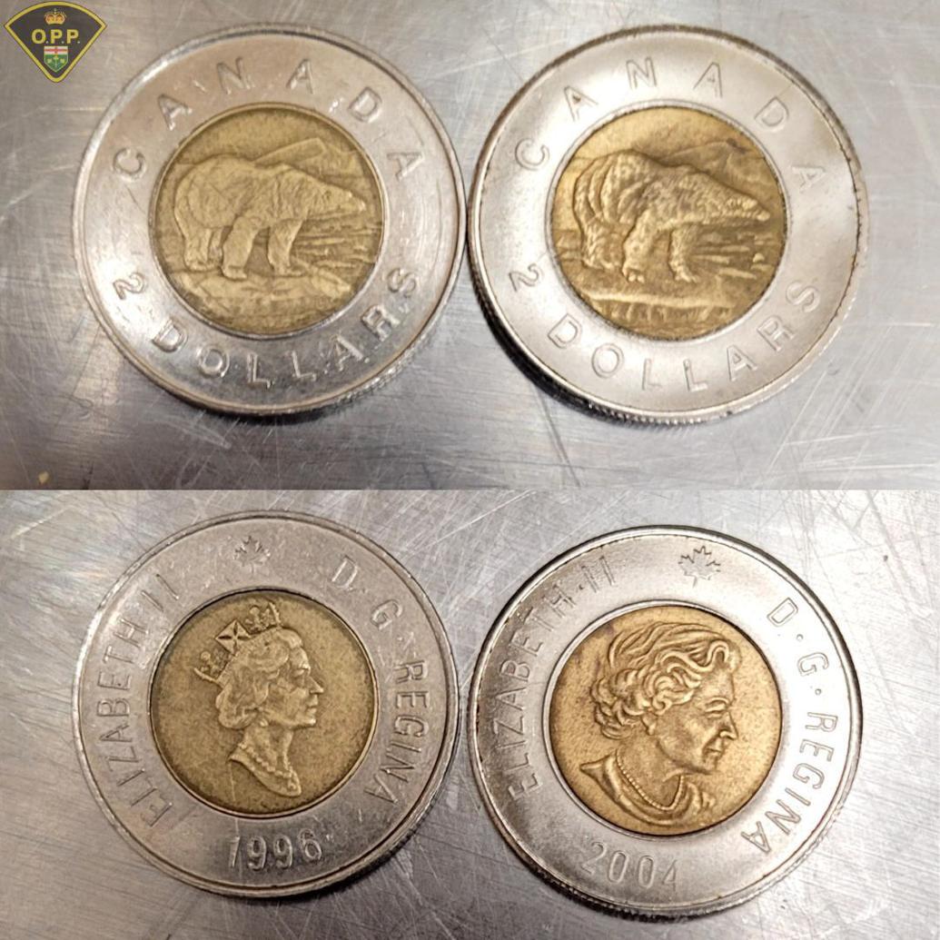 Fake cash is circulating across Canada. How to spot it