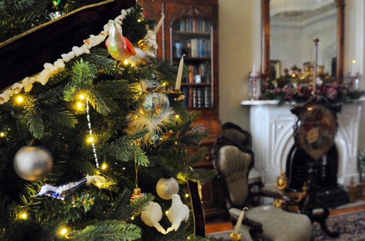 Risk low but real Christmas trees could be carrying ticks