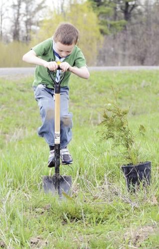 Scouts planted 170 trees