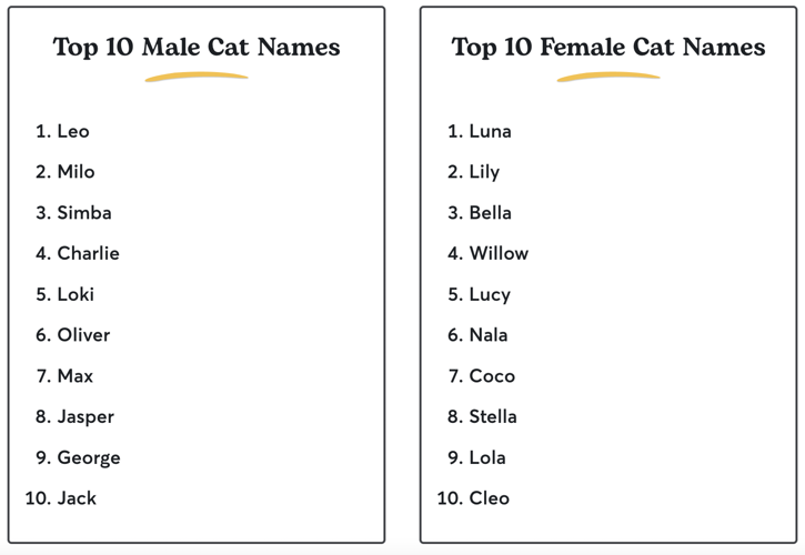 Rover reveals top Canadian dog and cat names in 2024
