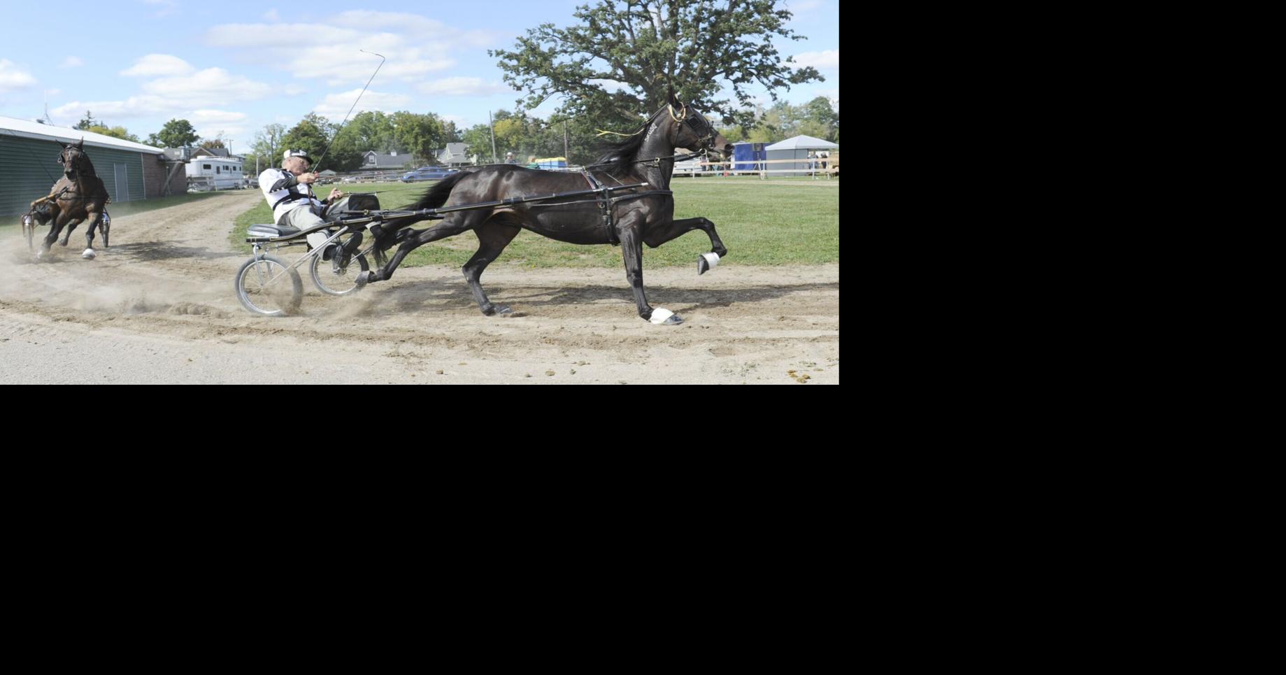 10 Things Happening at Milton Fall Fair