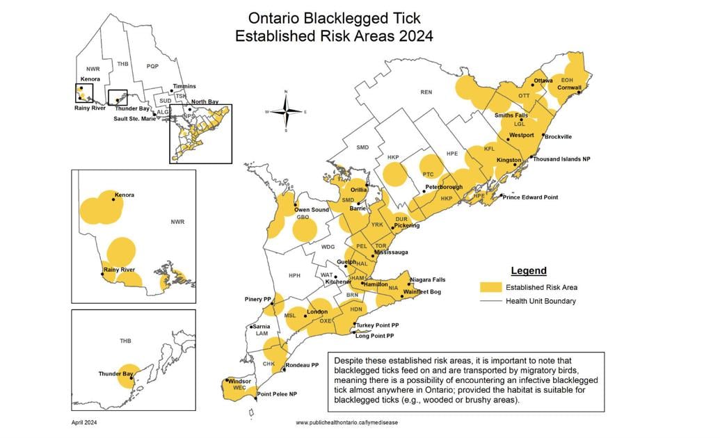 Ontario tick season 2025: What to do to protect yourself
