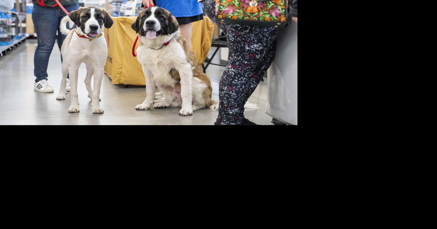 PetSmart National Adoption Week
