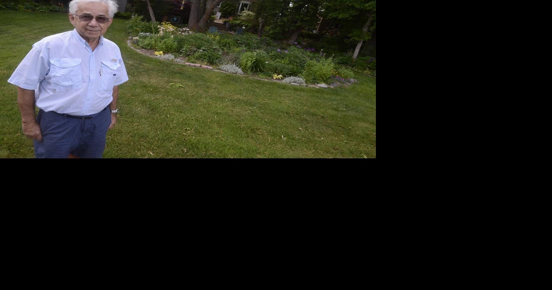 Hydro One tree clearing frustrates Burlington residents