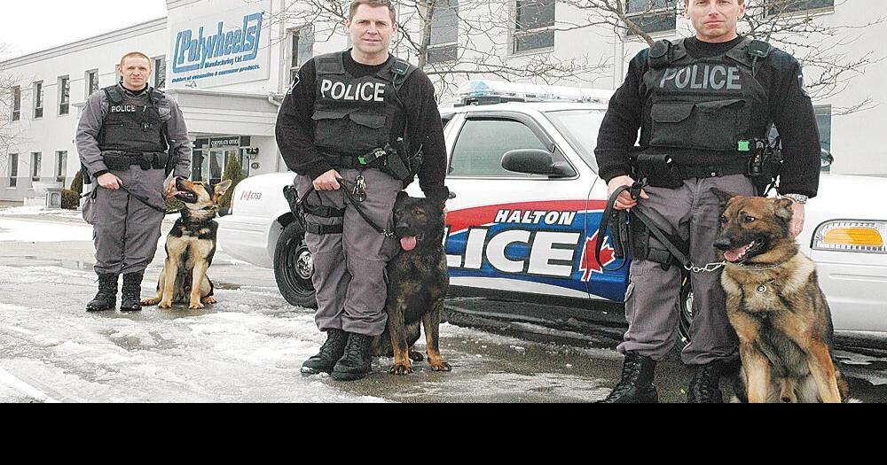 Inside the Halton Police Canine Unit