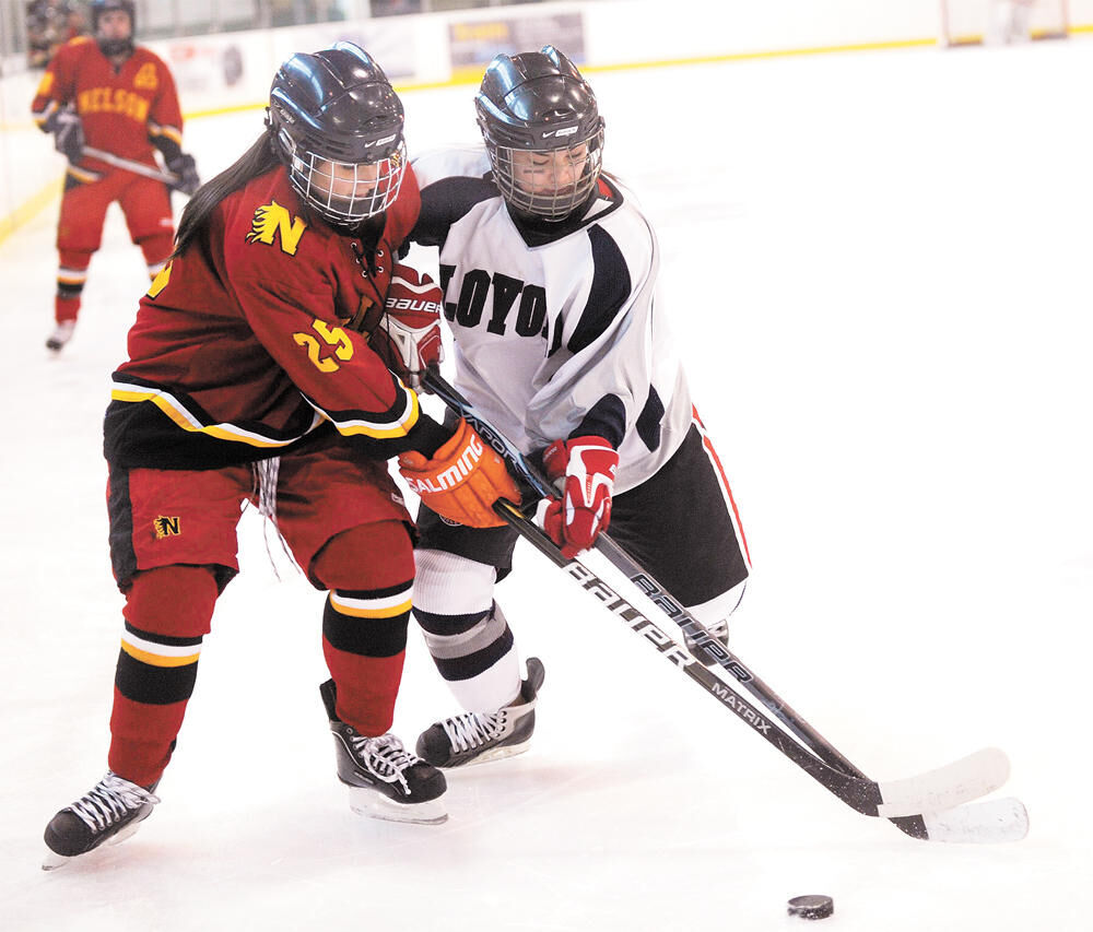 Nelson captures first girls hockey title
