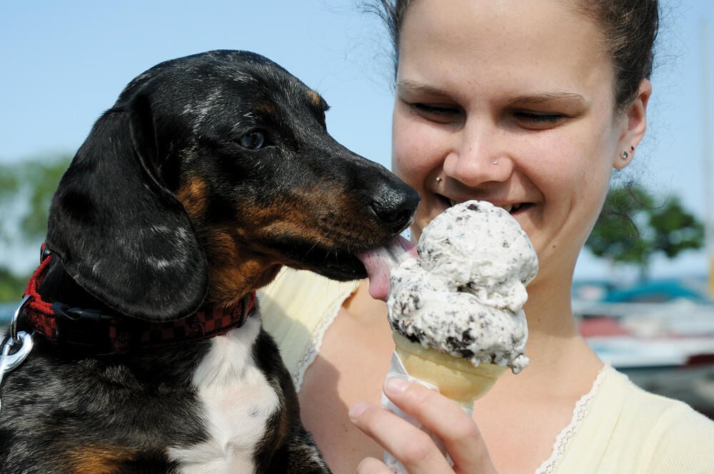 Summer in Ontario may not be as hot as other parts of Canada