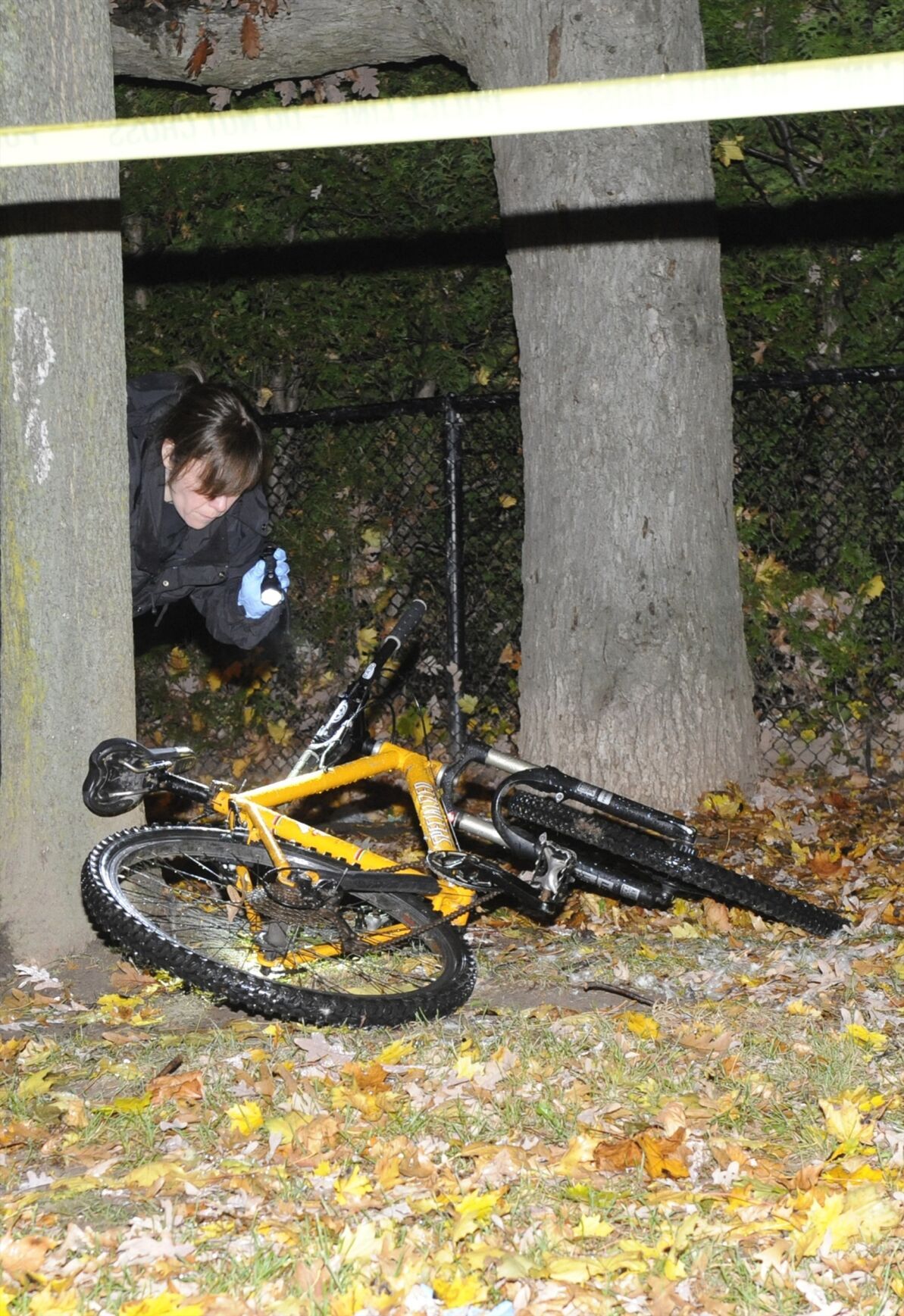 Oakville cyclist remains in critical condition after striking tree Oakville cyclist remains in critical condition after striking tree