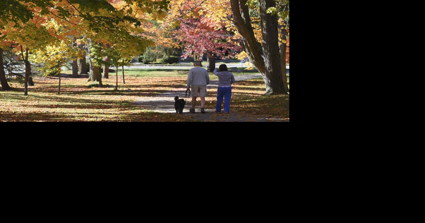 Ontario’s 2025 Fall Forecast: Mild weather ahead