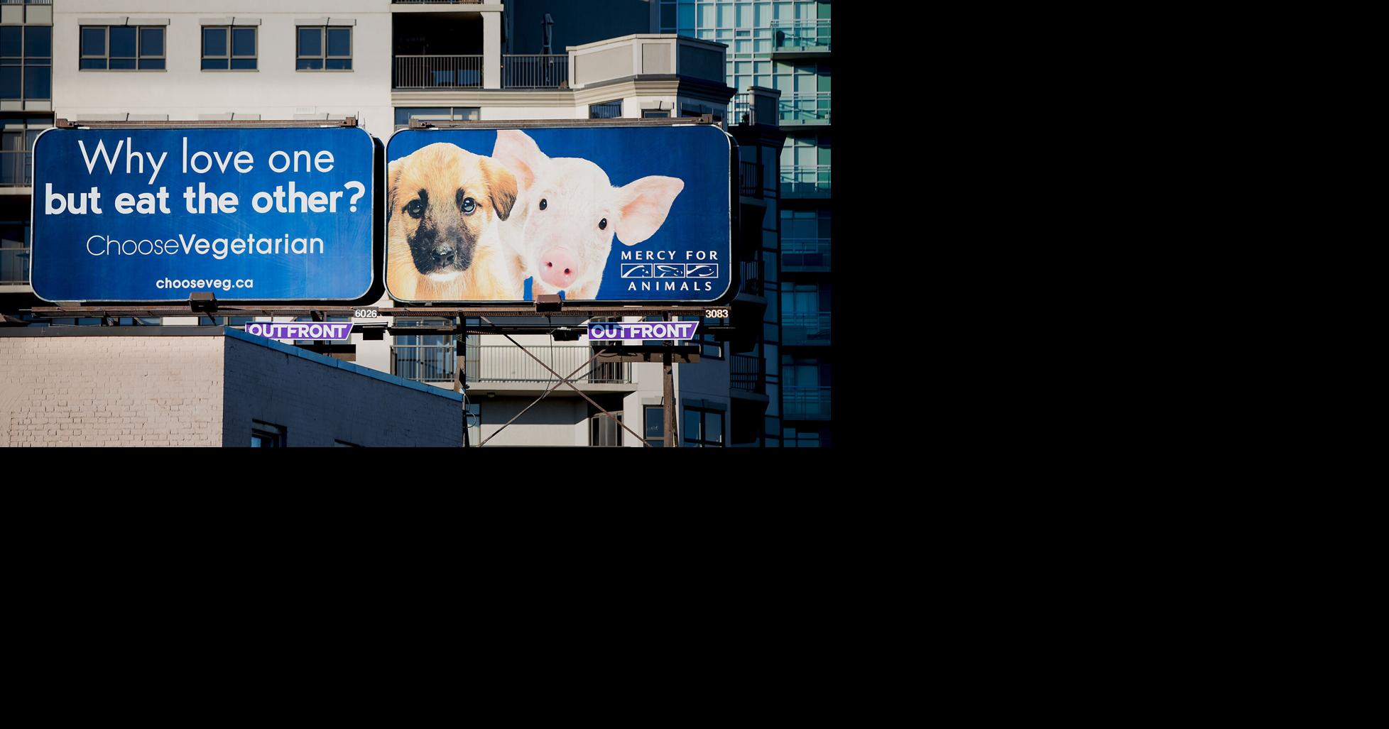 Anti-meat billboard in Burlington greets Ribfest attendees