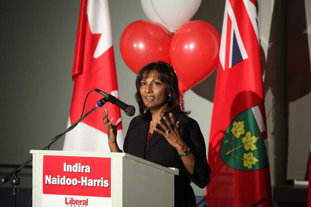 Naidoo-Harris to represent provincial Liberals in Halton