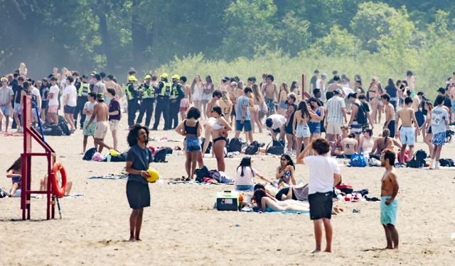 Ontario beach bugs that might bite you this summer