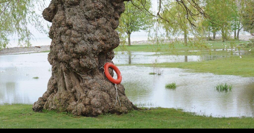 Oakville plan in place to deal with ‘worst’ flooding in nearly a century