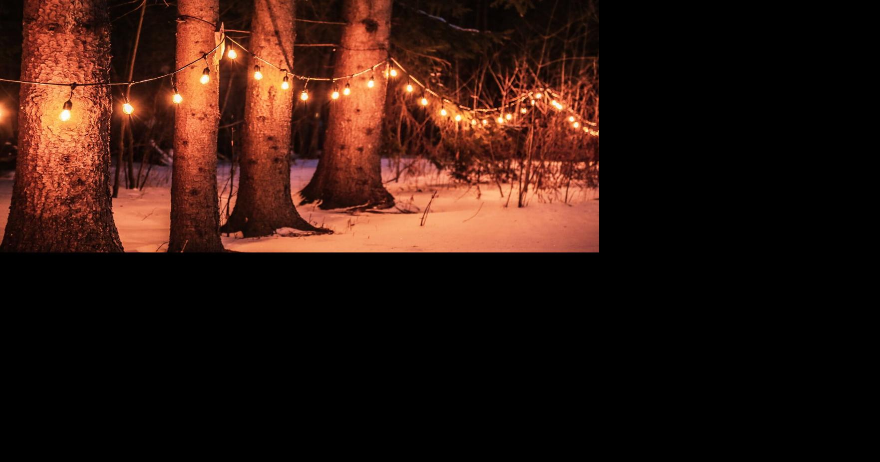 Winterlit returns to Milton’s Mountsberg Conservation Area