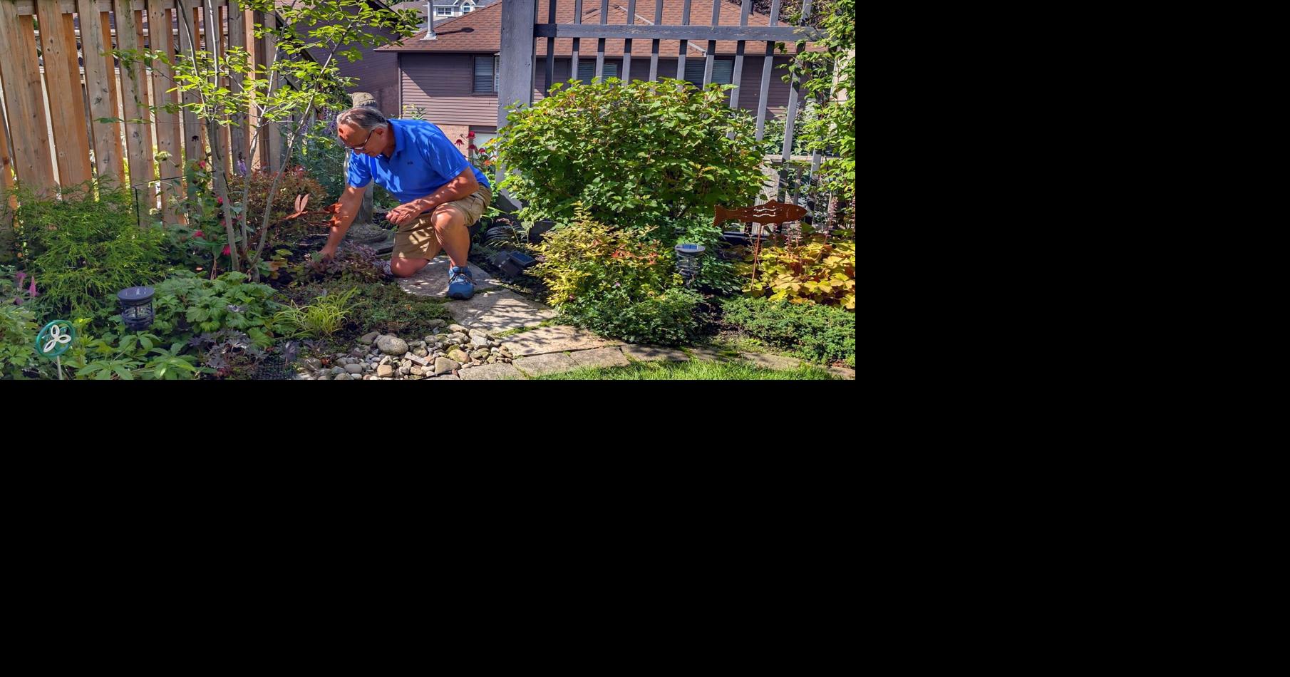 What Canada’s new plant hardiness zones mean for Ontario