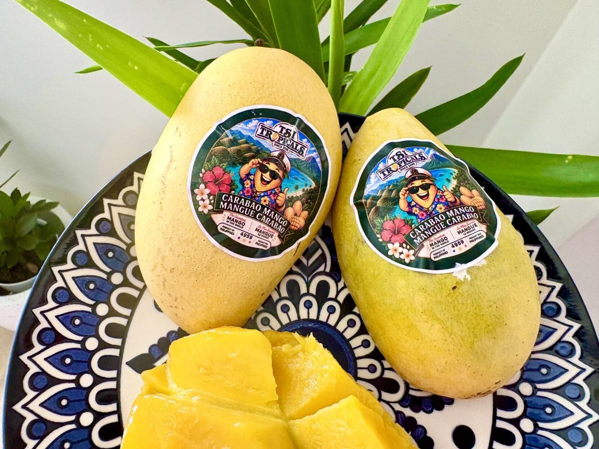 Where to buy Philippine mangoes in Canada?