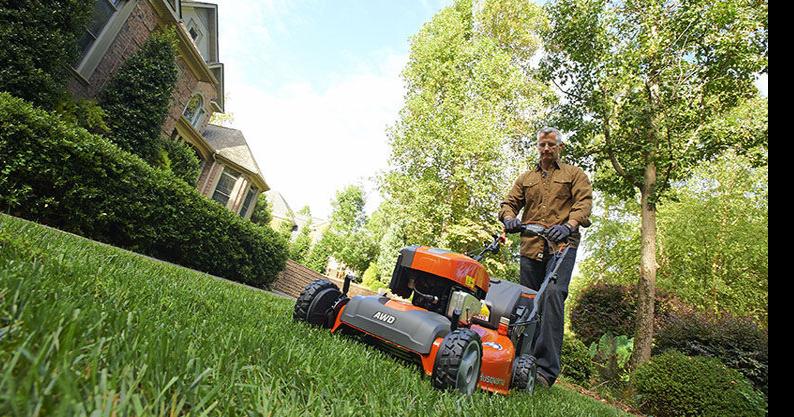 Reviving your lawn after winter