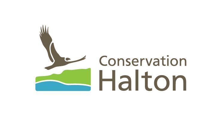 Halton’s ‘favourite’: Ways of the Woods summer camp is back