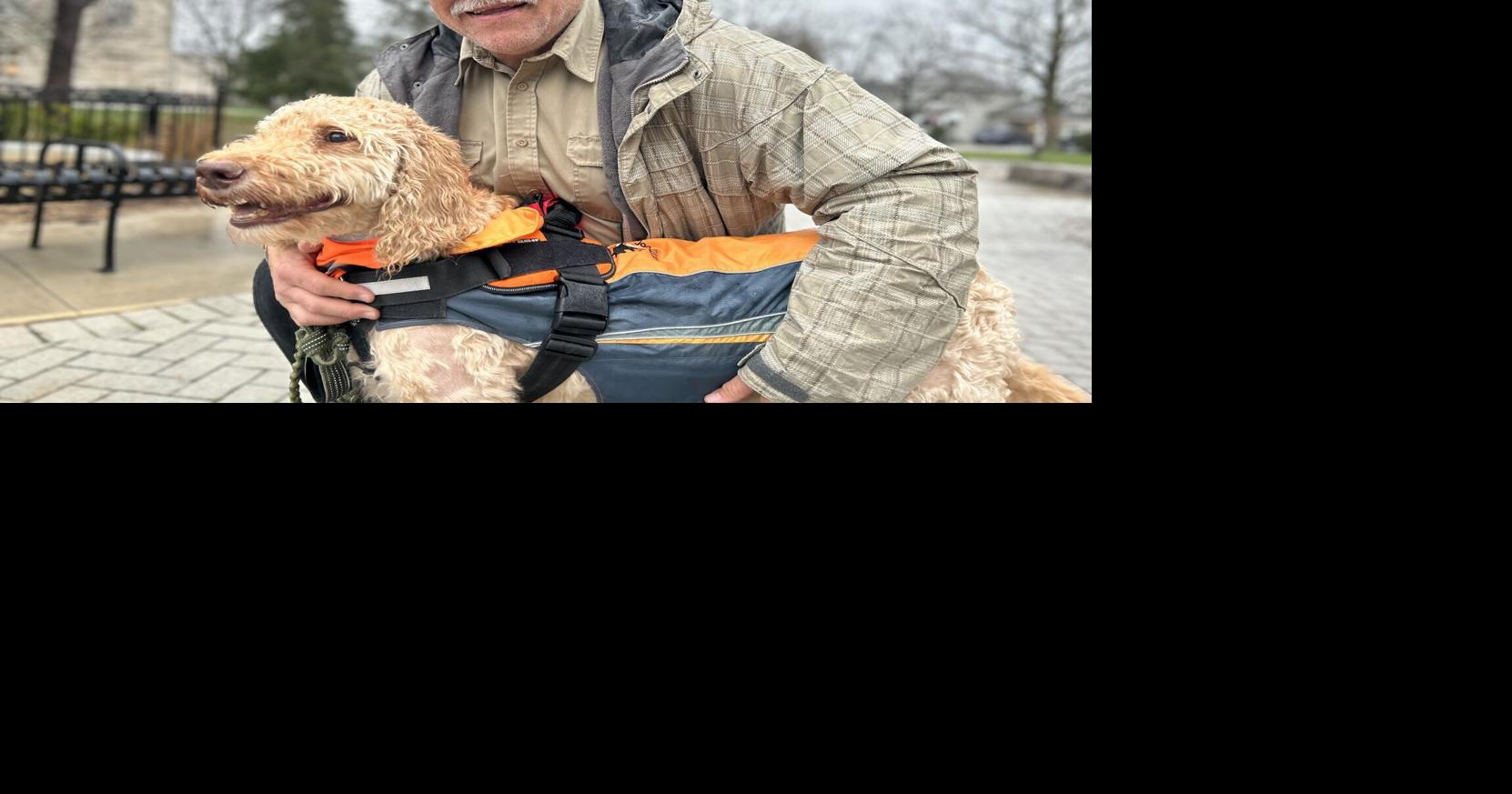 Well-known Milton dog survives medical crisis