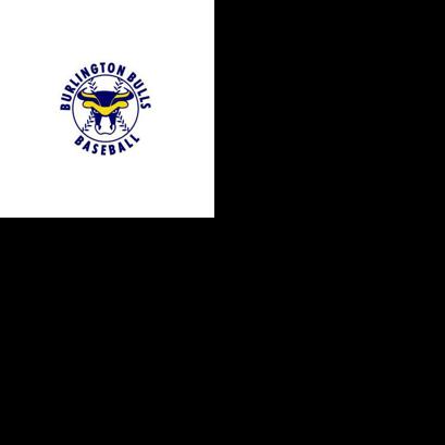 Burlington Jr. Bulls slugger has night to remember