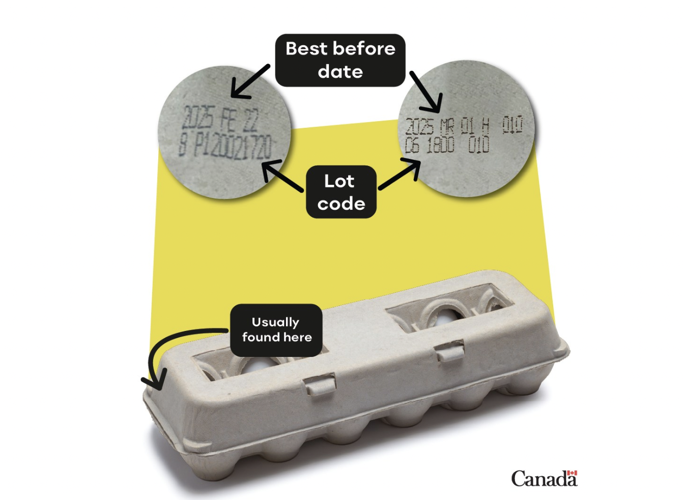 Are your eggs affected by the Canada salmonella egg recall?