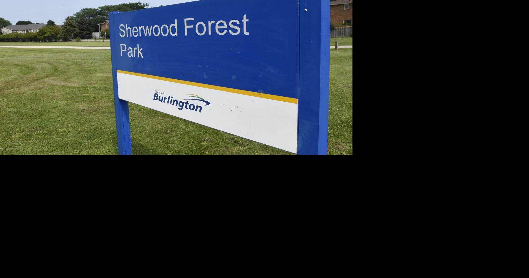 Burlington reviews if new cricket field could start sooner
