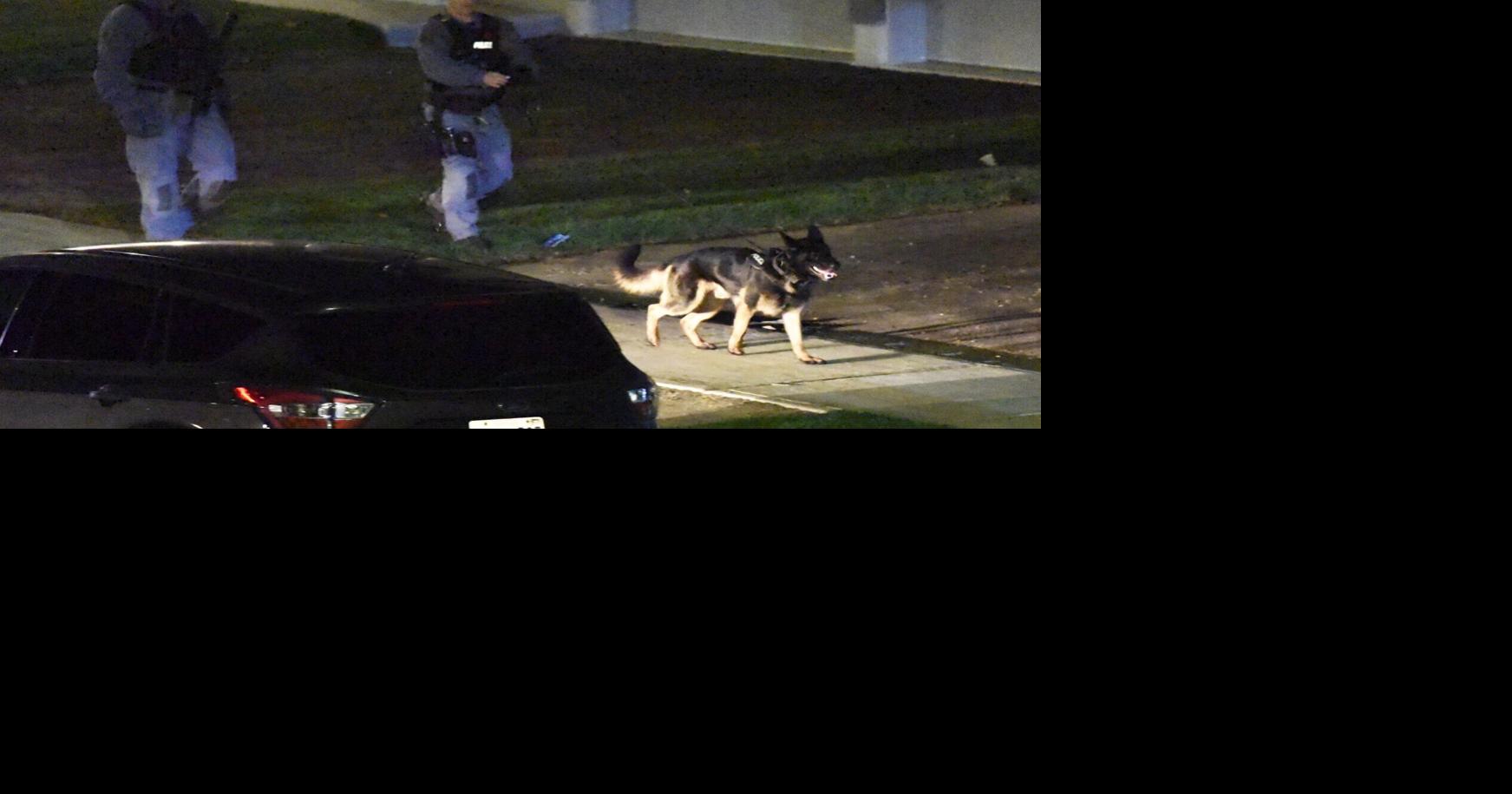 'Choking': Heavy police presence in Oakville neighbourhood after ...