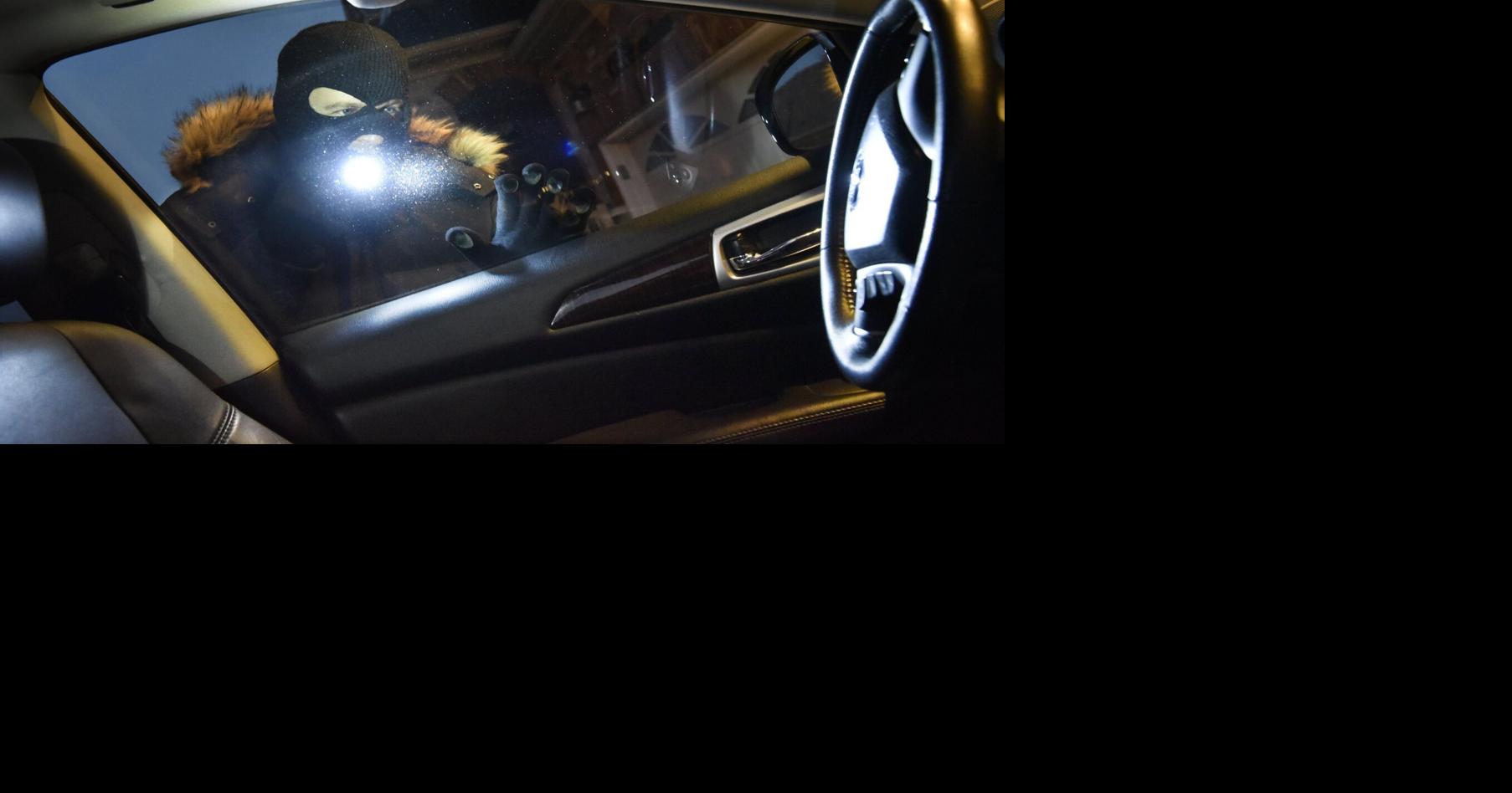 Halton police chief says feds need to do more on auto theft