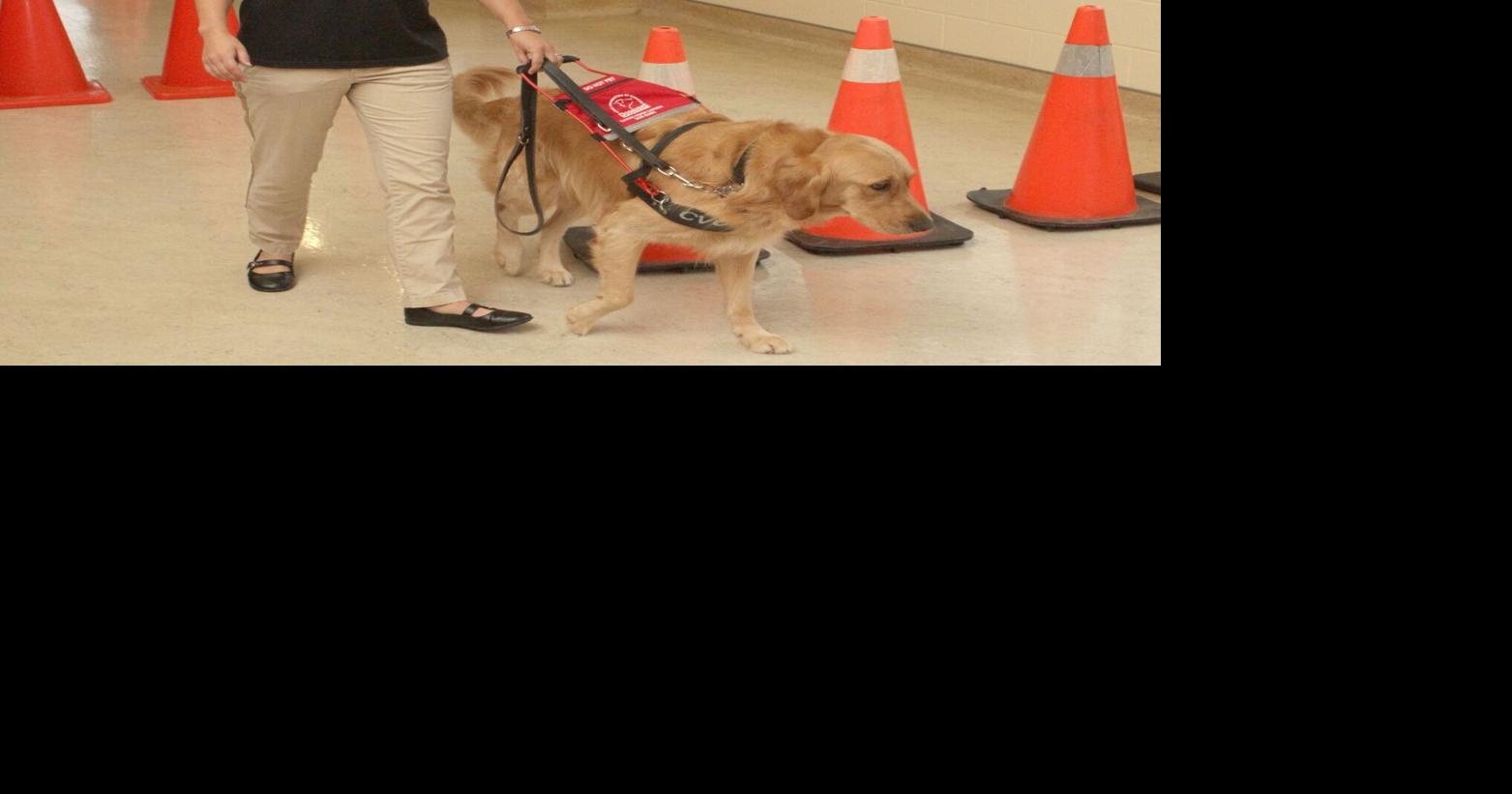 Open house April 5 at Oakville's Dog Guide facility