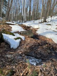 Ontario flood watch 2026: Spring thaw risk for GTA, Ottawa
