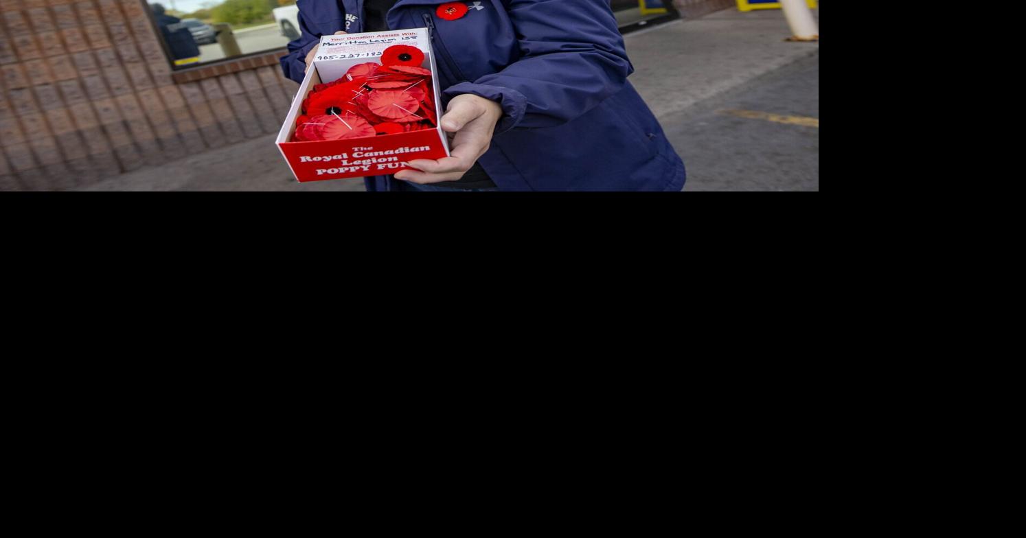 Learn why we wear poppies for Remembrance Day and more