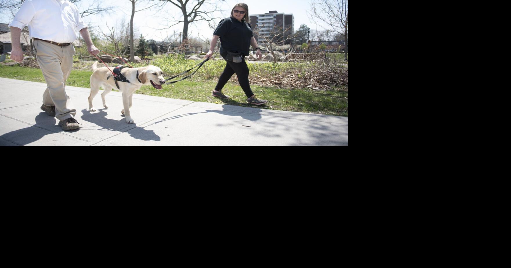 My walk with Cubby: A lesson in trust