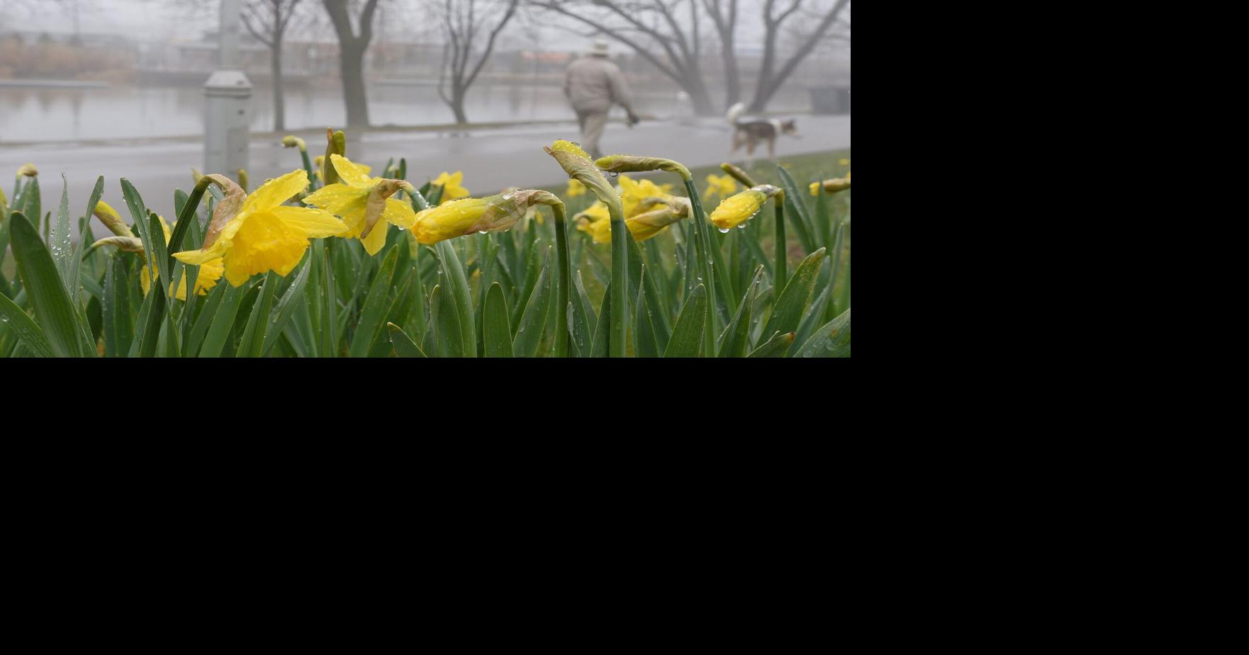 Weather forecast for first day of spring brings flurries