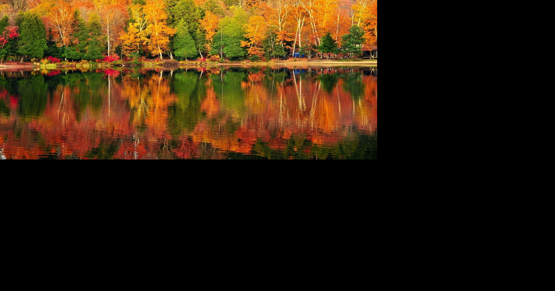 Here’s when Ontario’s fall colours are expected to peak