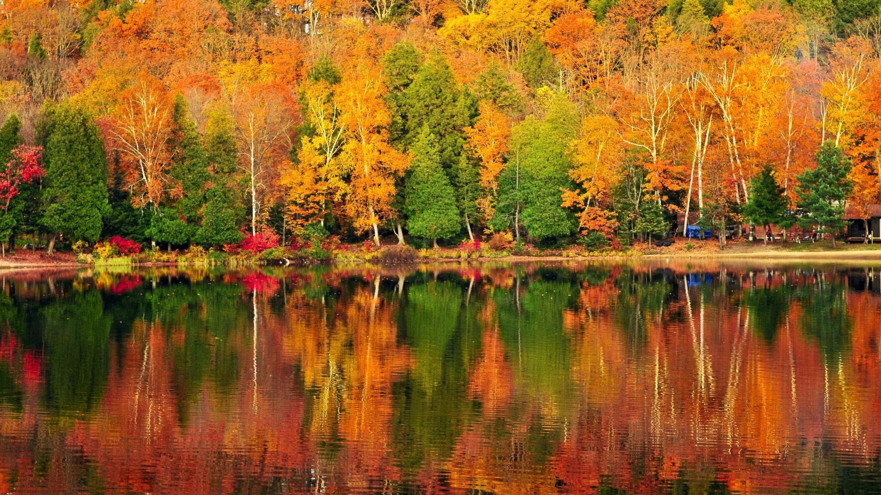 Here’s when Ontario’s fall colours are expected to peak