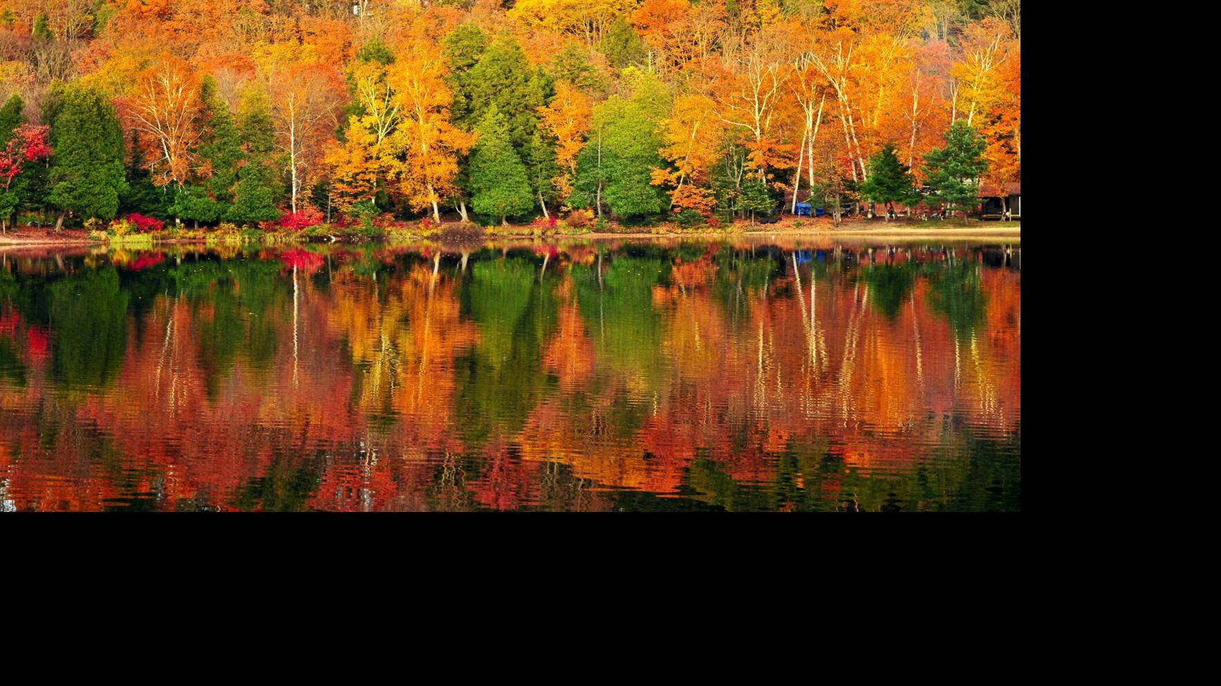 Here’s when Ontario’s fall colours are expected to peak