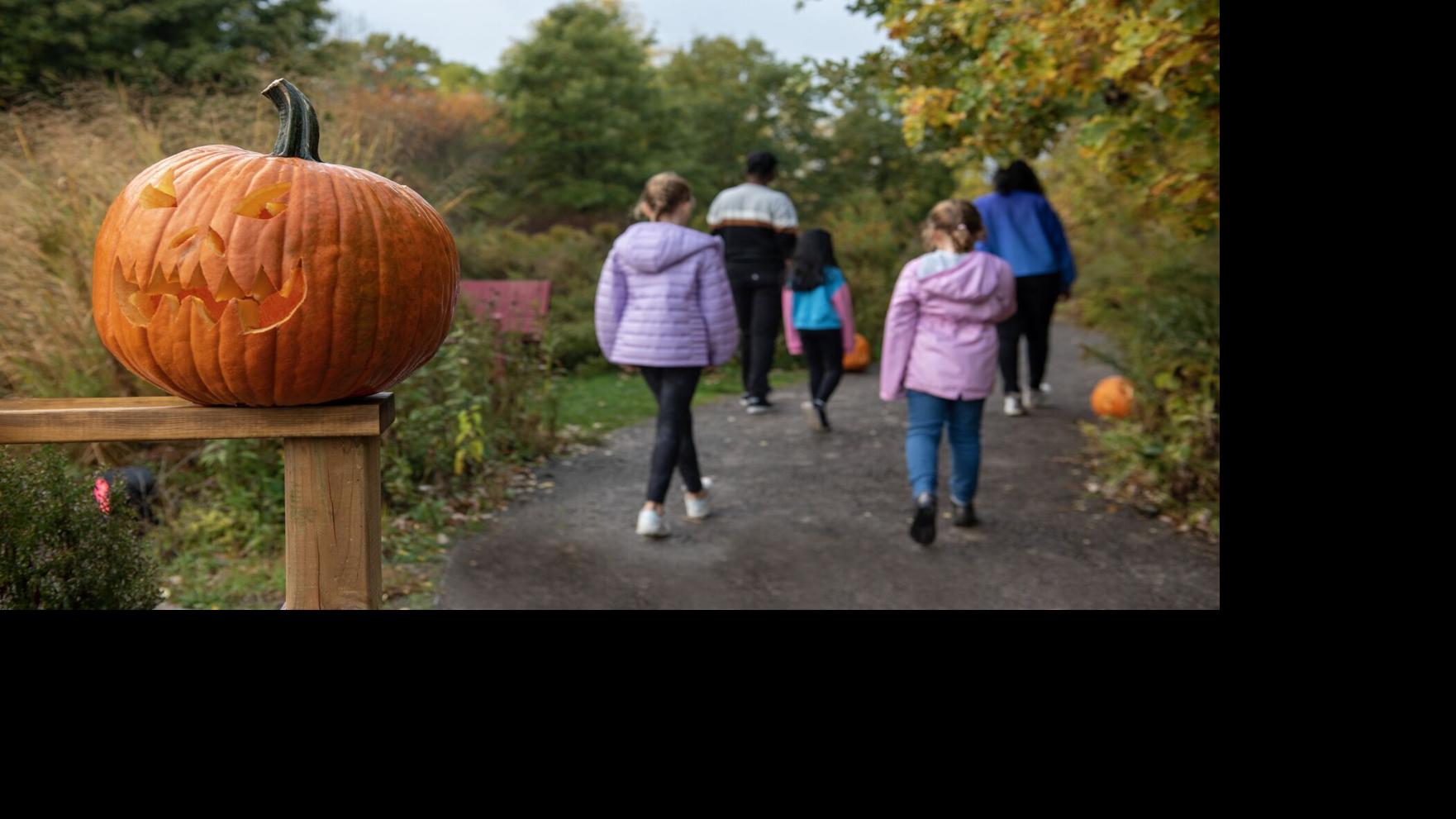 Royal Botanical Gardens’ Great Pumpkin Trail