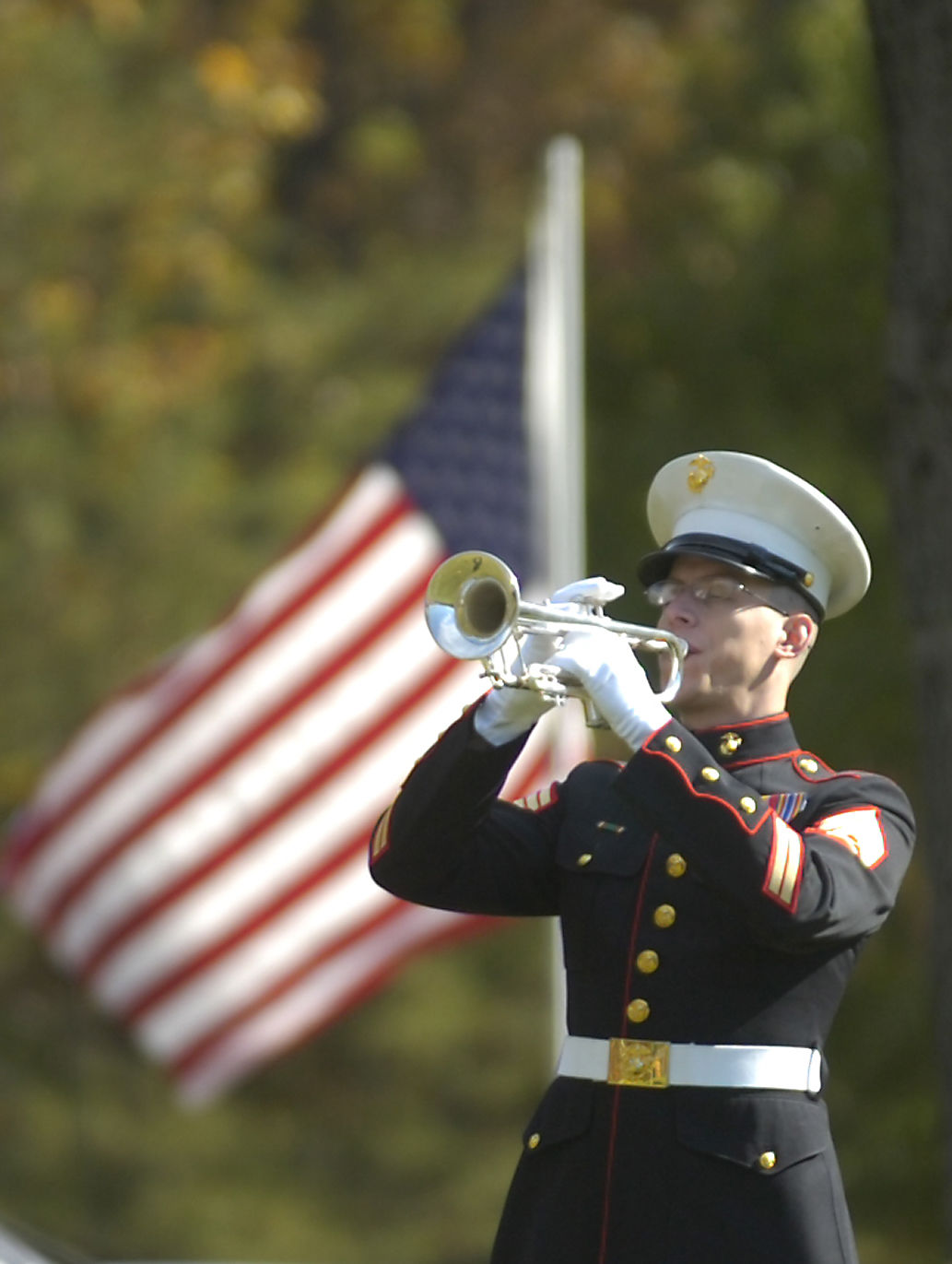 PHOTOS: Marine Corps' commandant joins Veterans Day remembrance at ...