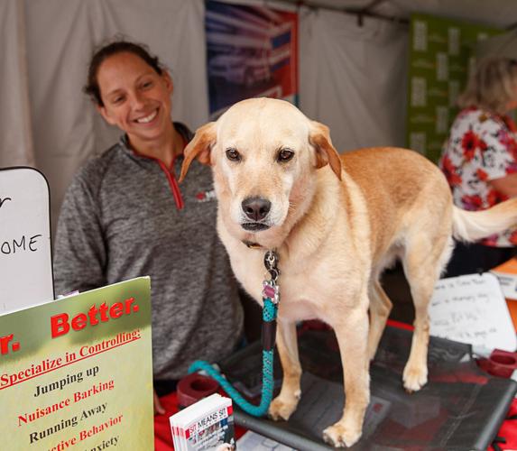 PHOTOS: Scenes from the 2017 Taste of Arlington celebration ...